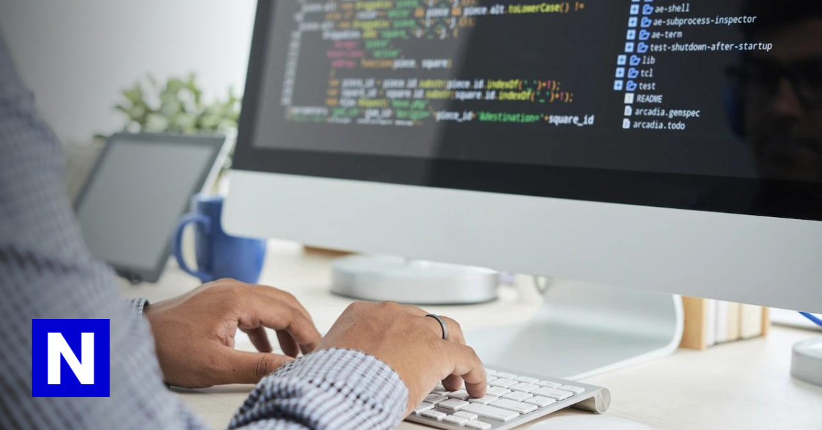 Software Custom: I Vantaggi per le imprese - Noitech.net